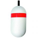 14 Best Shark Fishing Rigs and Baits | By Captain Cody