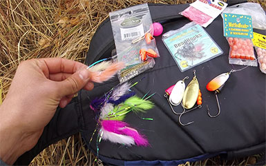 What Is The Best Fishing Bait For Salmon