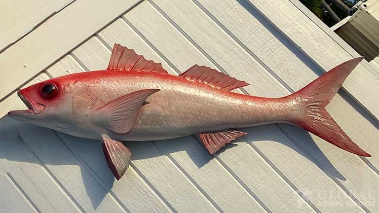 Types of Snapper | By Captain Cody